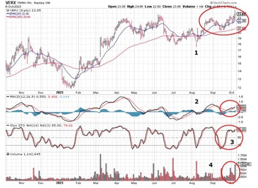 Summarizing the Information in Our Premium Member Stock Reports | The ...